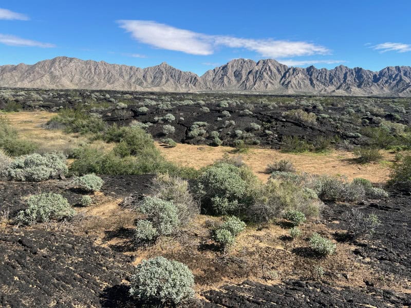 Investigations of Lava Flows in the Pinacate Volcanic Field as ...